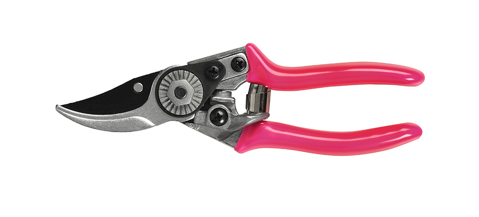 FloraBrite Pocket Pruner - Pink | Perennialle Plants