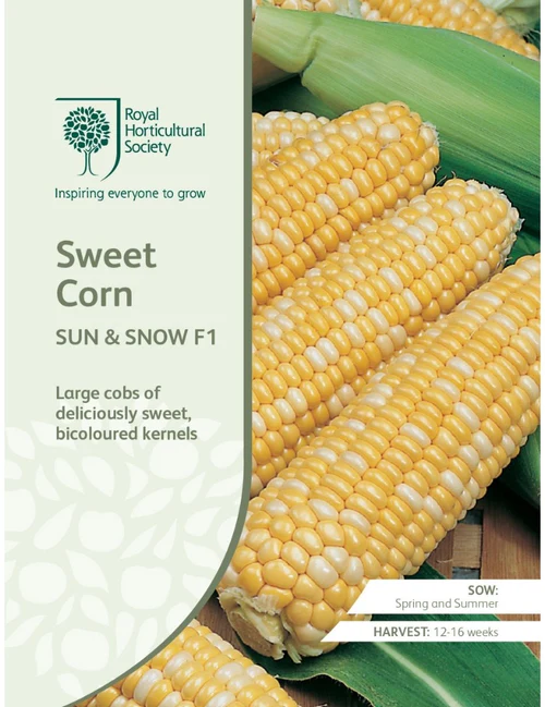 RHS Seeds - Sweet Corn Sun and Snow F1 | Perennialle Plants