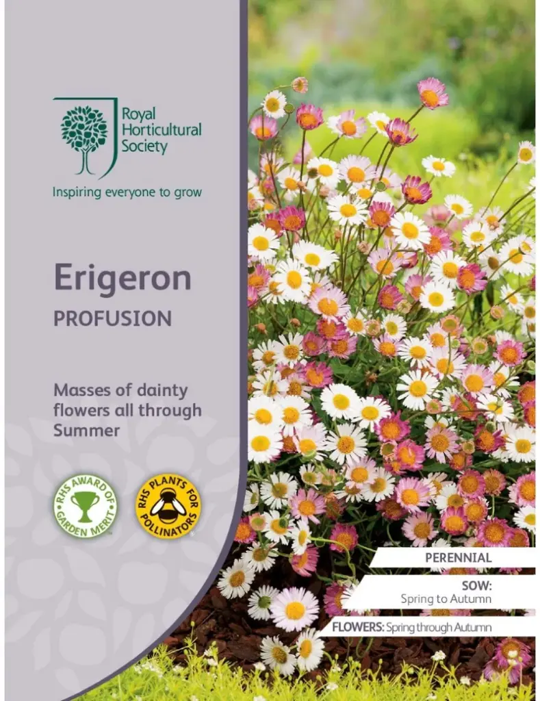 RHS Seeds - Erigeron Profusion | Perennialle Plants