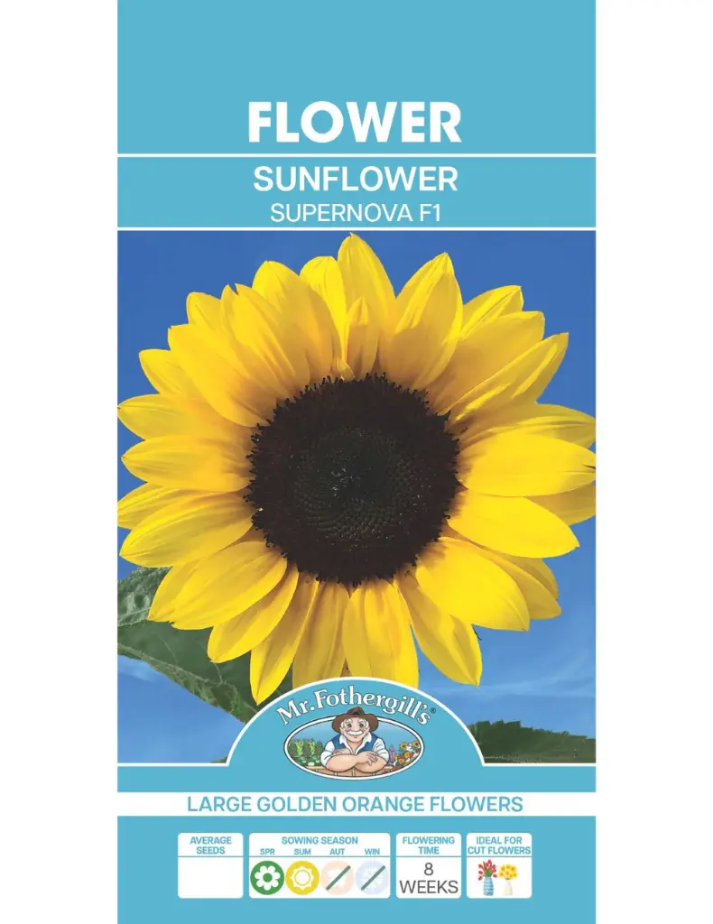 Supernova F1 Sunflower Seeds | Perennialle Plants